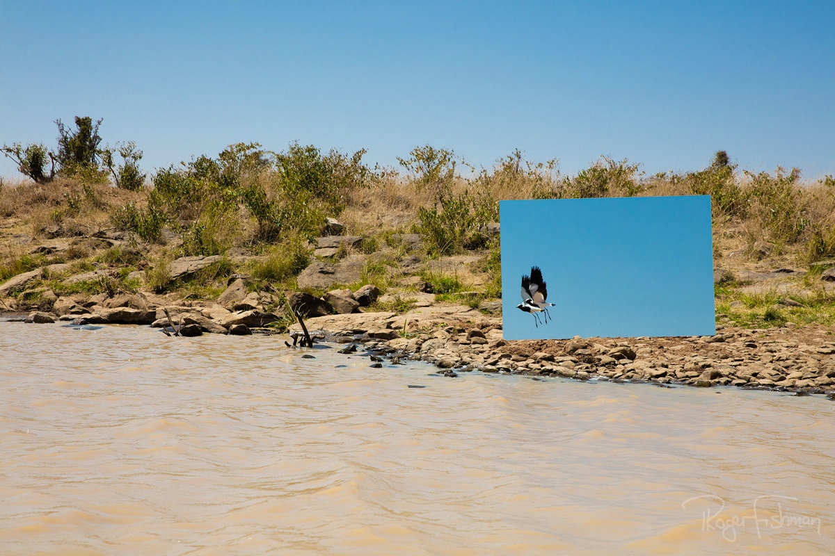 Capturing the Moment—An Interview with Filmmaker Roger Fishman