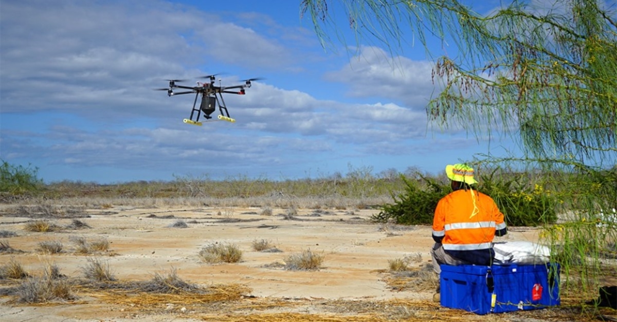 Drones to Help with Rampant Rat Problem on Remote Pacific Islands